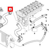 NEW GENUINE BMW 3 SERIES E46 PETROL ENGINE COOLANT RADIATOR LOWER HOSE ...
