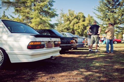 E28 Rear bumper M5 in Bumper - buy best tuning parts in ProTuning.com store