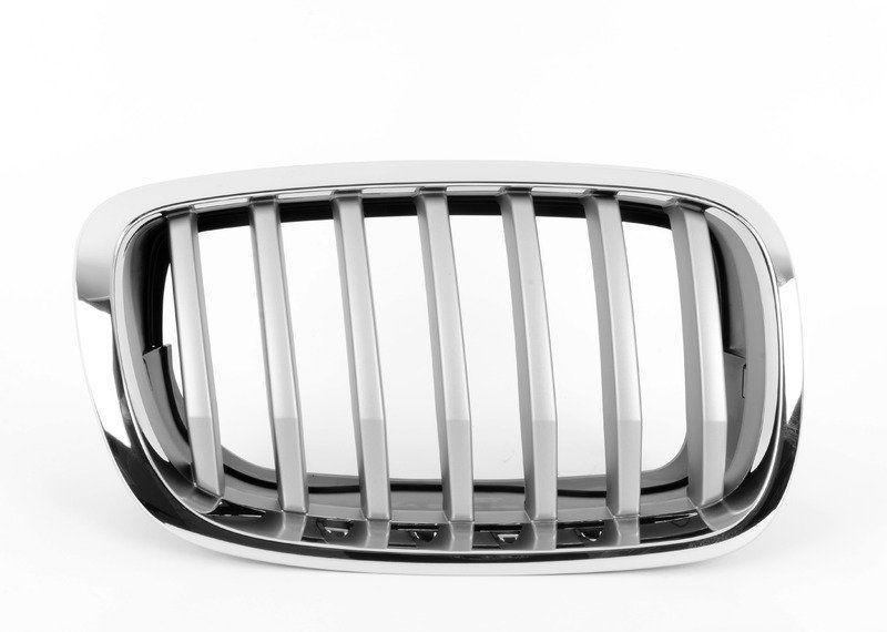 BMW NEW GENUINE X6 SERIES E71 FRONT GRILLE GRILL RIGHT SIDE TITAN LINE ...
